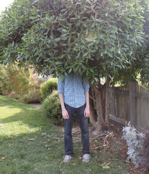 Jon Adams - Éditions Cambourakis